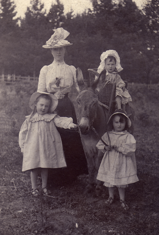 About Joan Begbie – New Tales from an Old Forest