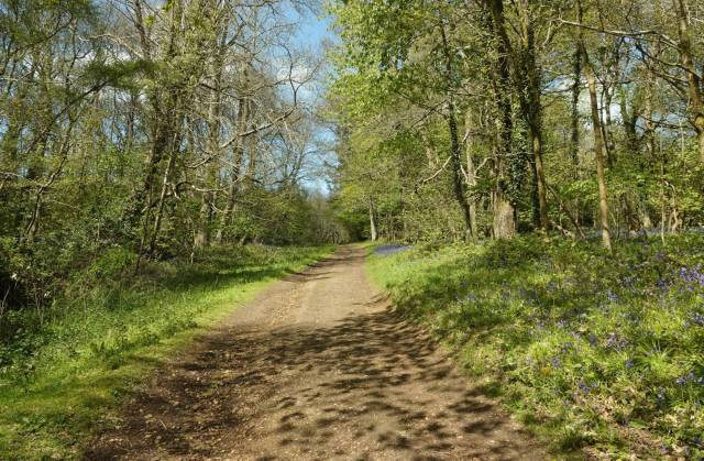 The Breamore Mizmaze: nature and contemplation – New Tales from an Old ...