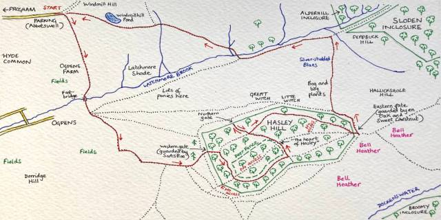 Hasley Inclosure in the New Forest: a young wood on an old hill – New ...