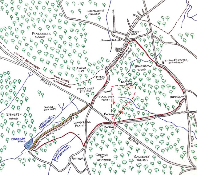 Black Bush: an evening walk in the New Forest – New Tales from an Old ...